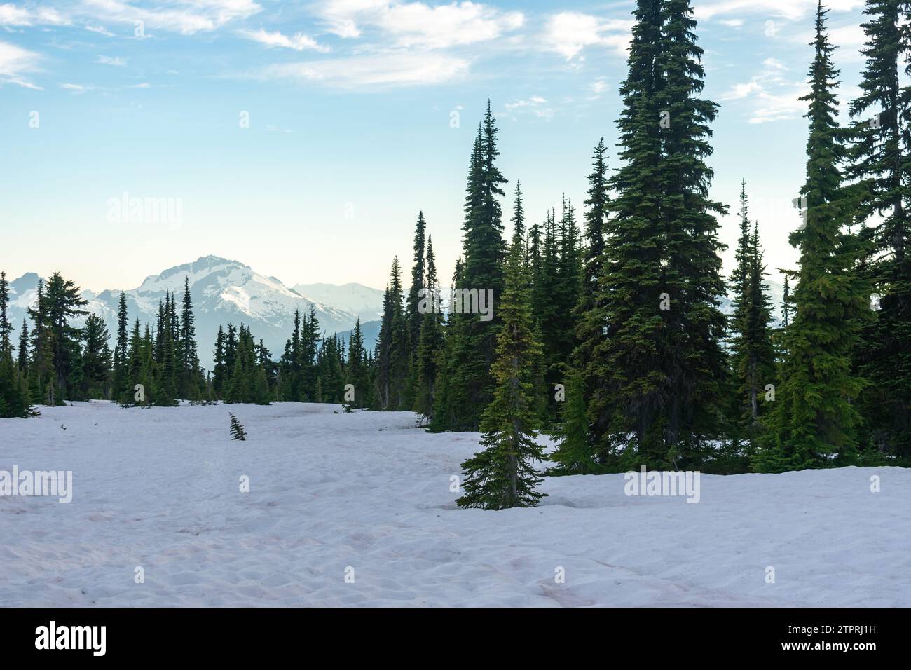 A tranquil view from the Panorama Ridge Trail, showcasing the snowy ...