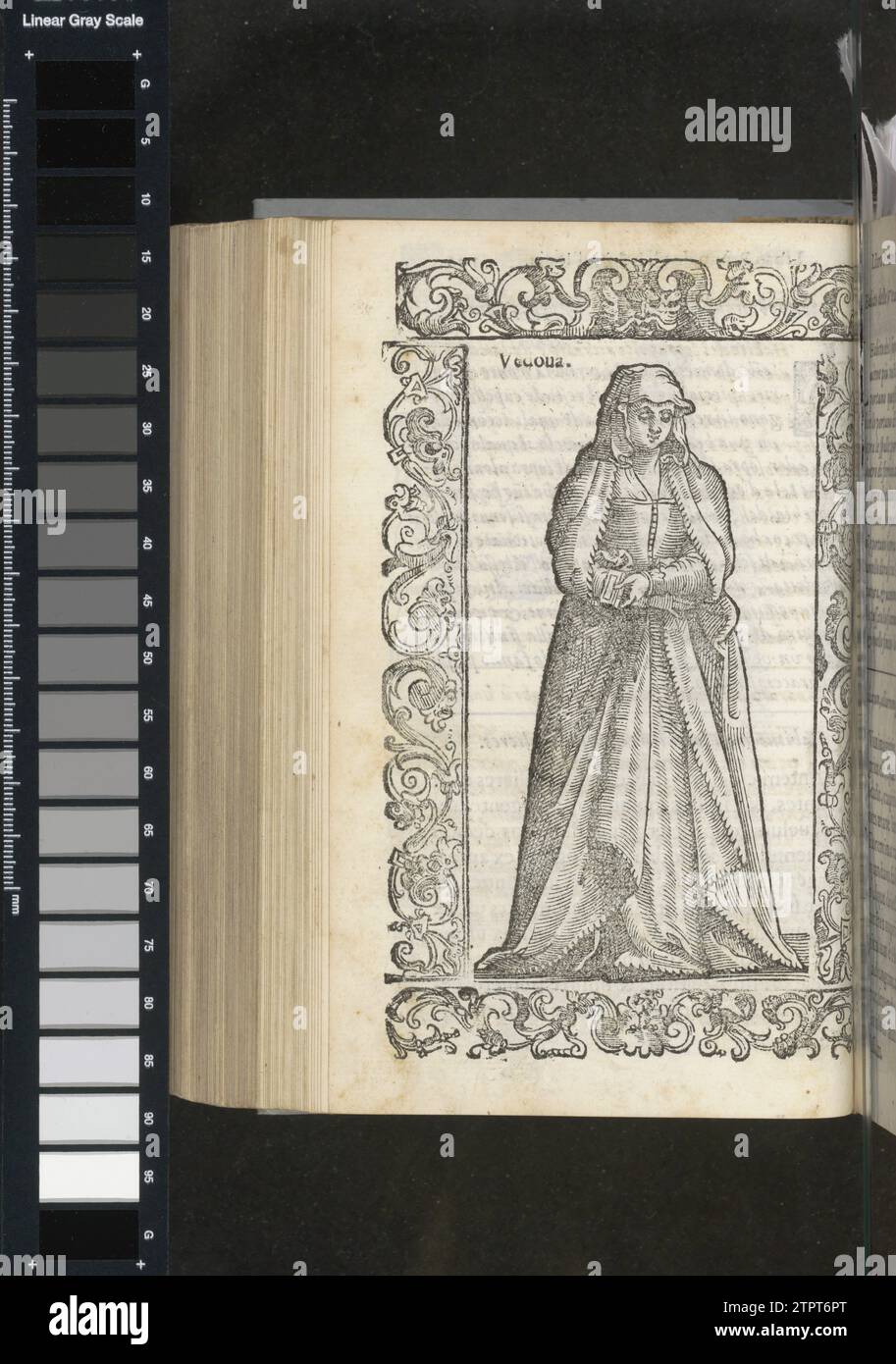 Italian widow, Christoph Krieger, After Cesare Vecellio, 1598 Widow ...