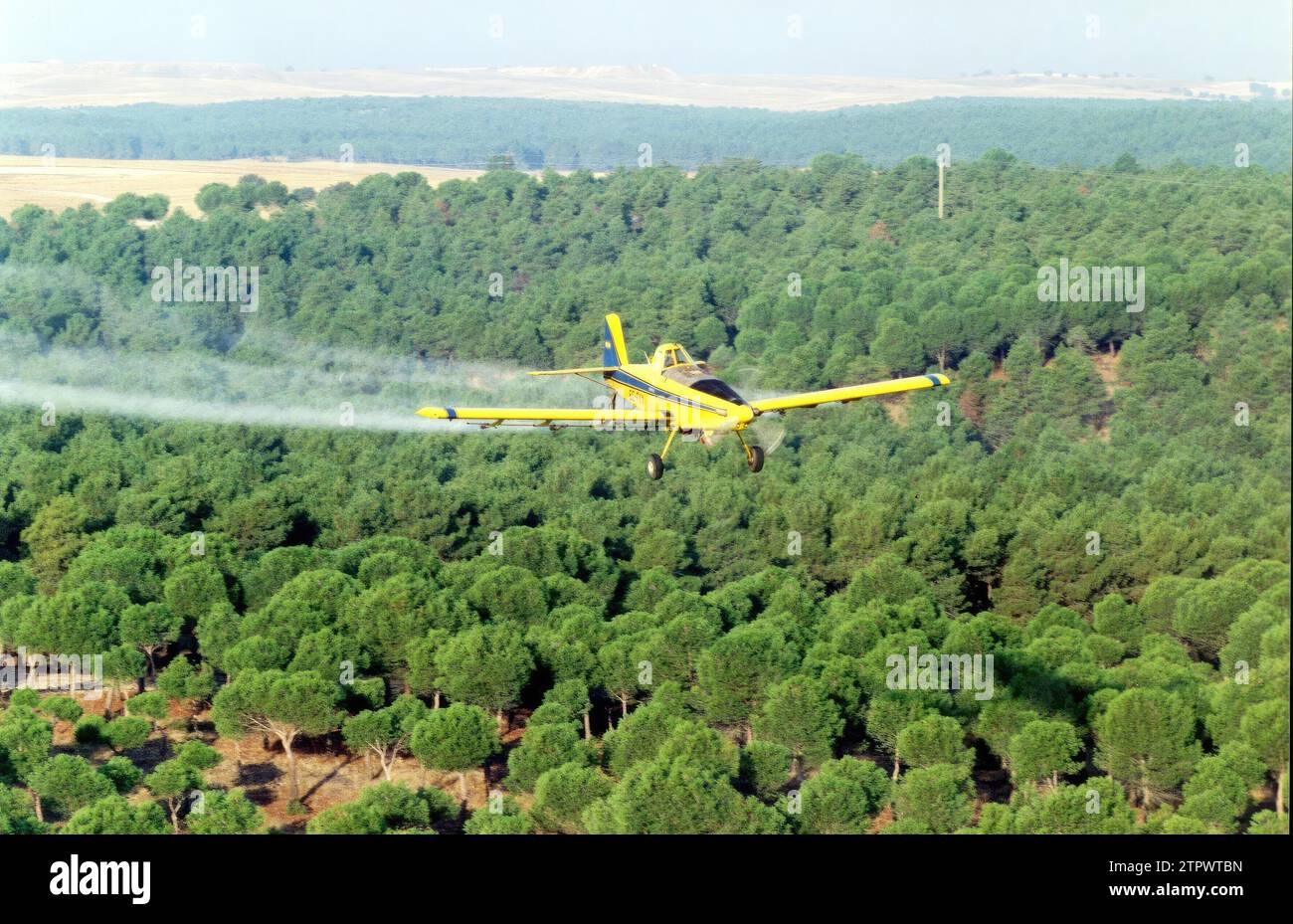 Mari martin hi-res stock photography and images - Alamy