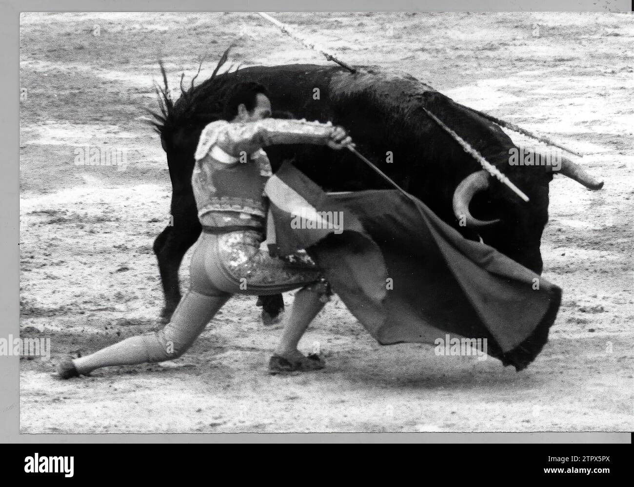 Madrid, 05/03/1981. Curro Romero in the help of bass, very bullfighter ...
