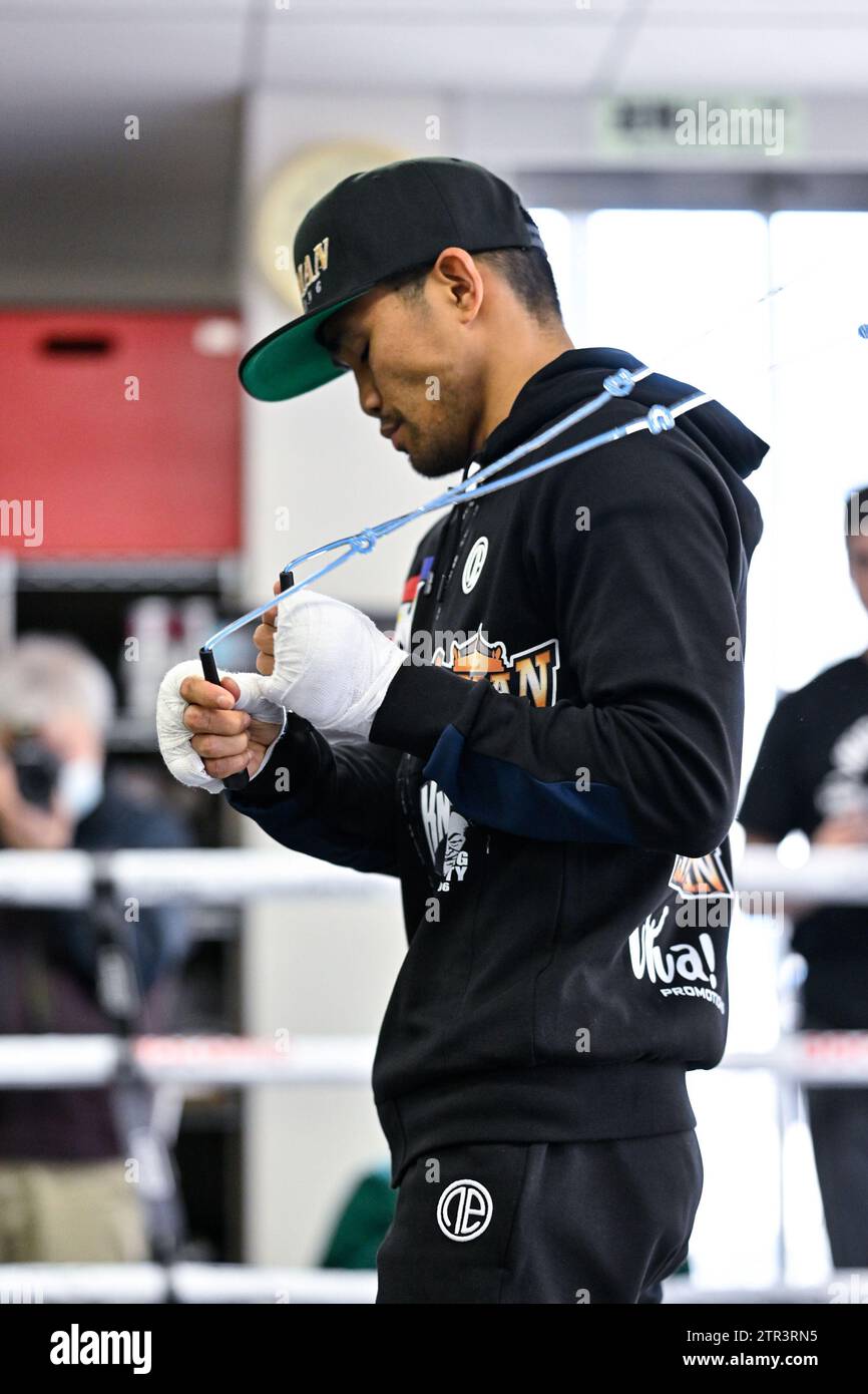 Marlon Tapales of the Philippines trains during a public workout at ...