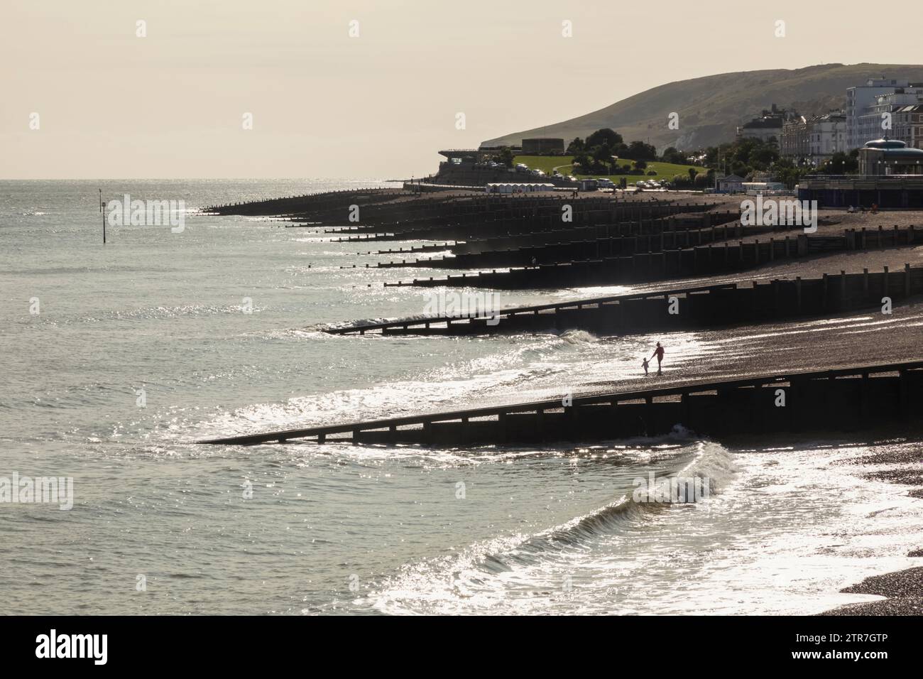 England, East Sussex, Eastbourne, View of Beach and Groynes Stock Photo ...