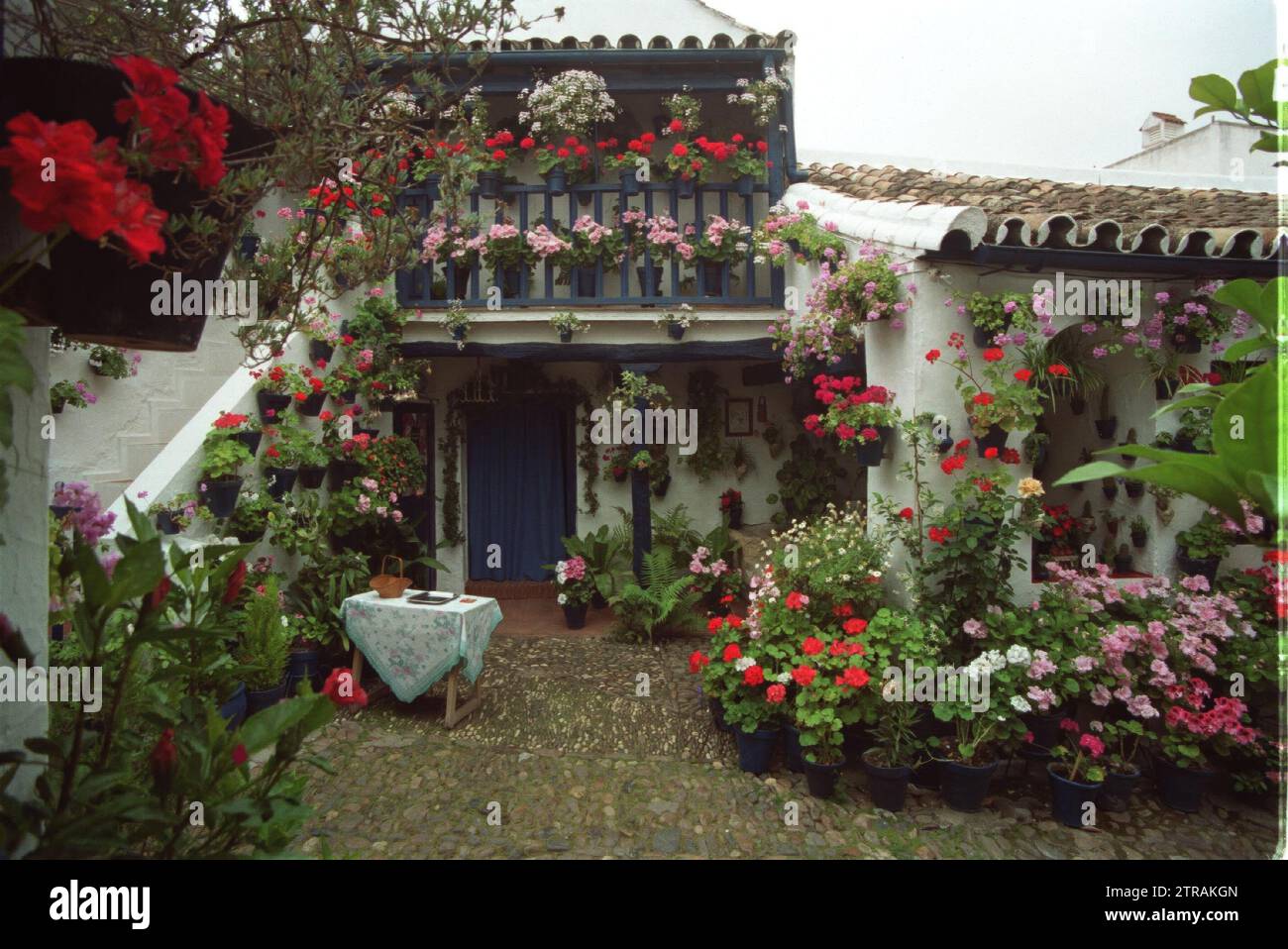 Cordova. 05/07/2001. Patio on San Juan de Palomares Street awarded the ...