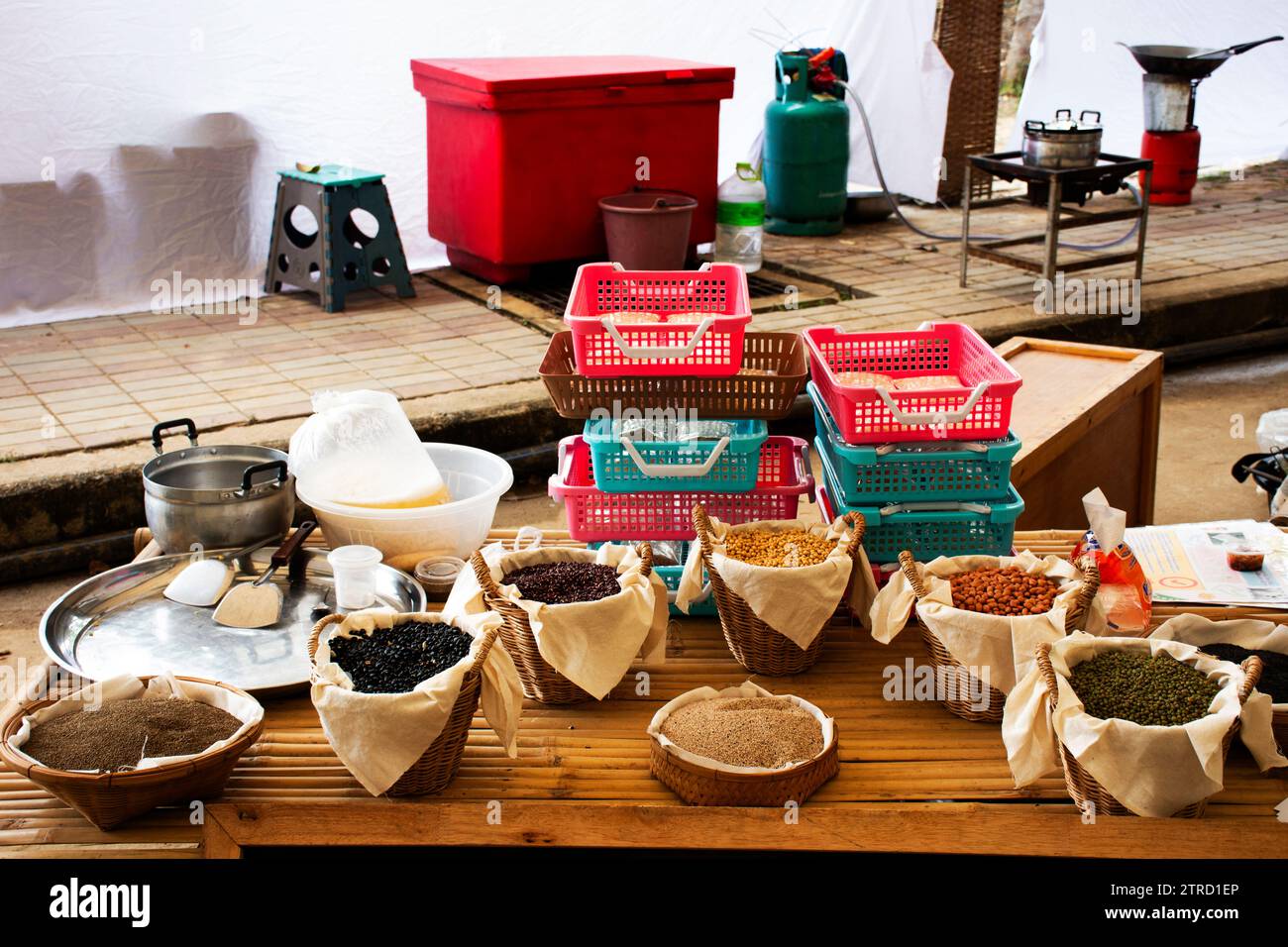 Plant based protein cuisine and alternative food from insect for ...