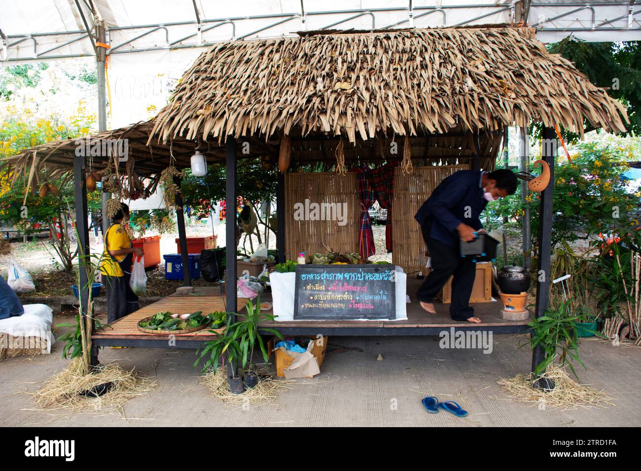 Local shop restaurant for thai people cooking native food from forest ...