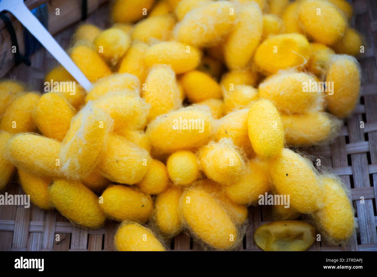 Reeling process hi-res stock photography and images - Alamy