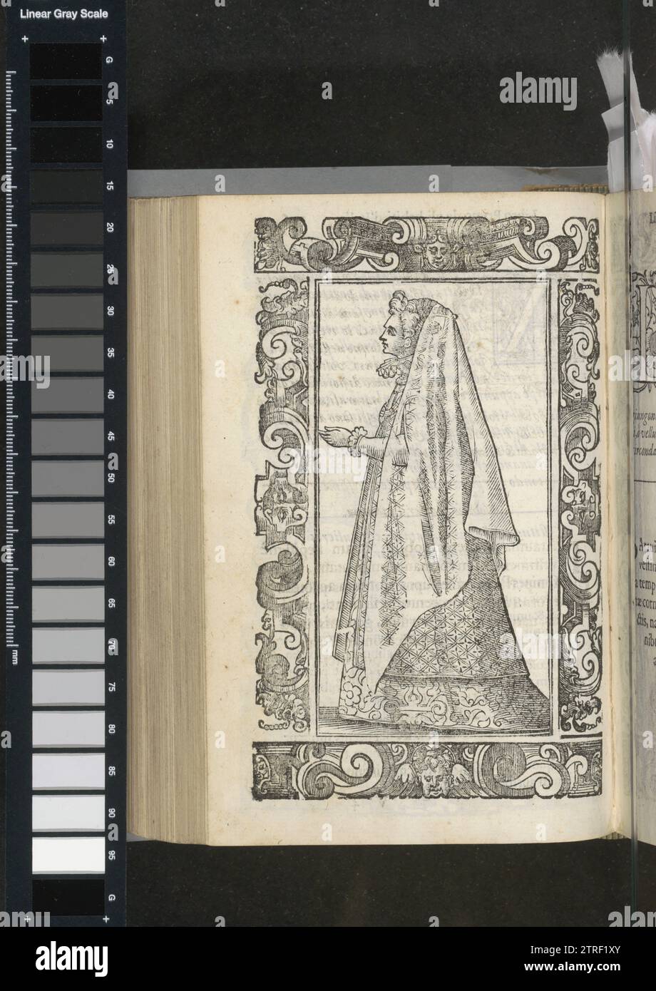 Modern Paduan Paduan, Christoph Krieger, After Cesare Vecellio, 1598 ...