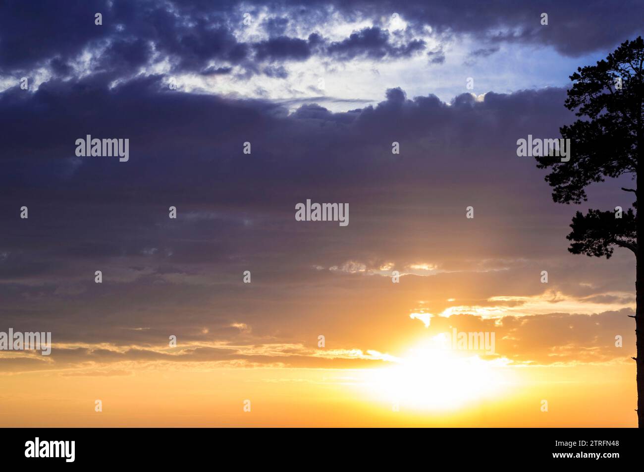 Right lightning hi-res stock photography and images - Alamy