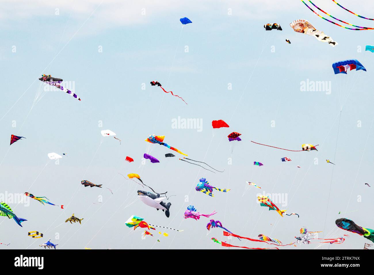 Kites of many shapes and colors fill the sky at the International Kite ...