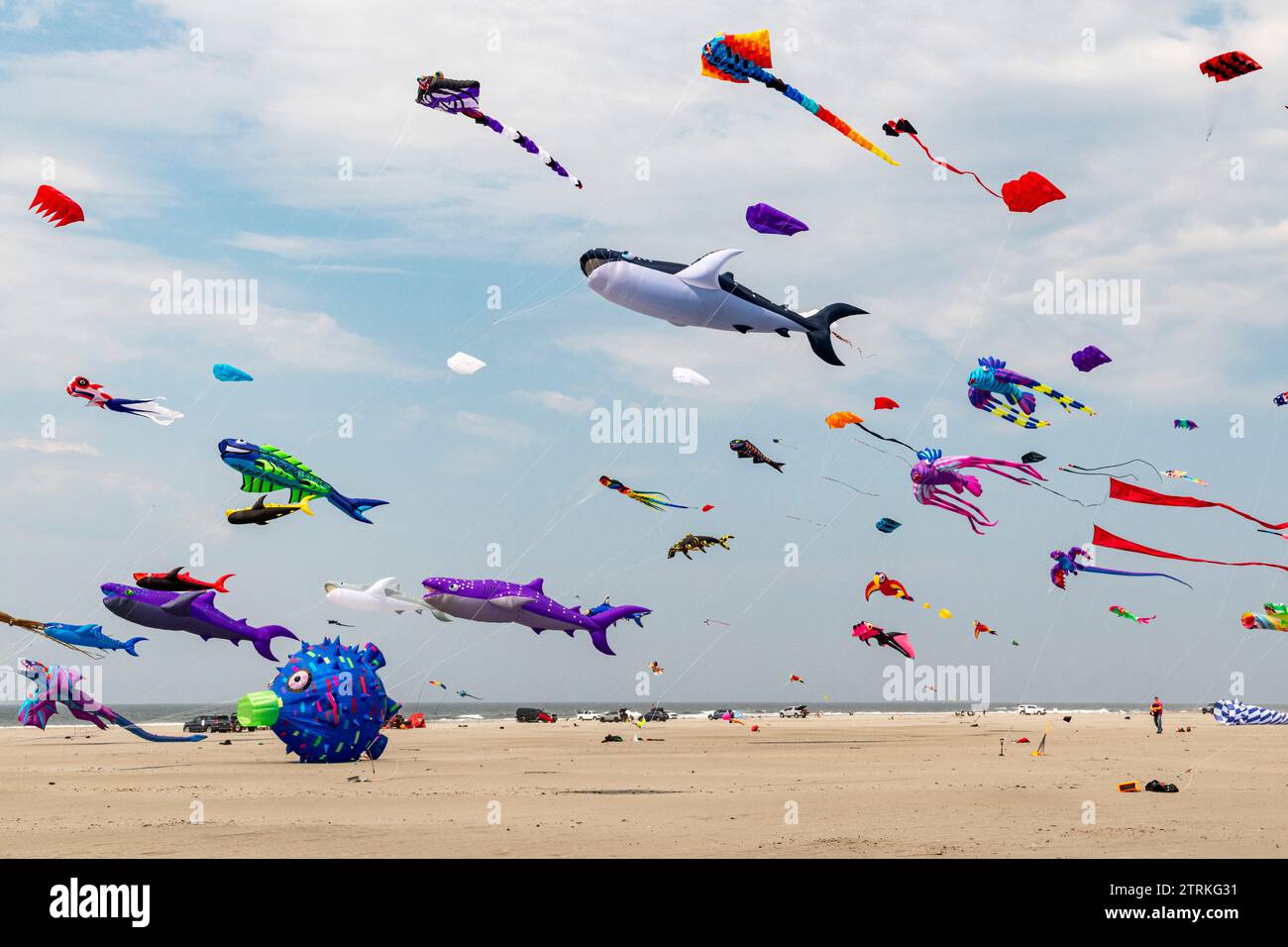 Kites of many shapes and colors fill the sky at the International Kite ...