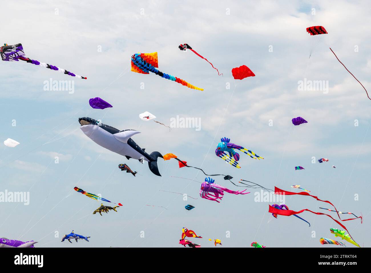 Kites of many shapes and colors fill the sky at the International Kite ...