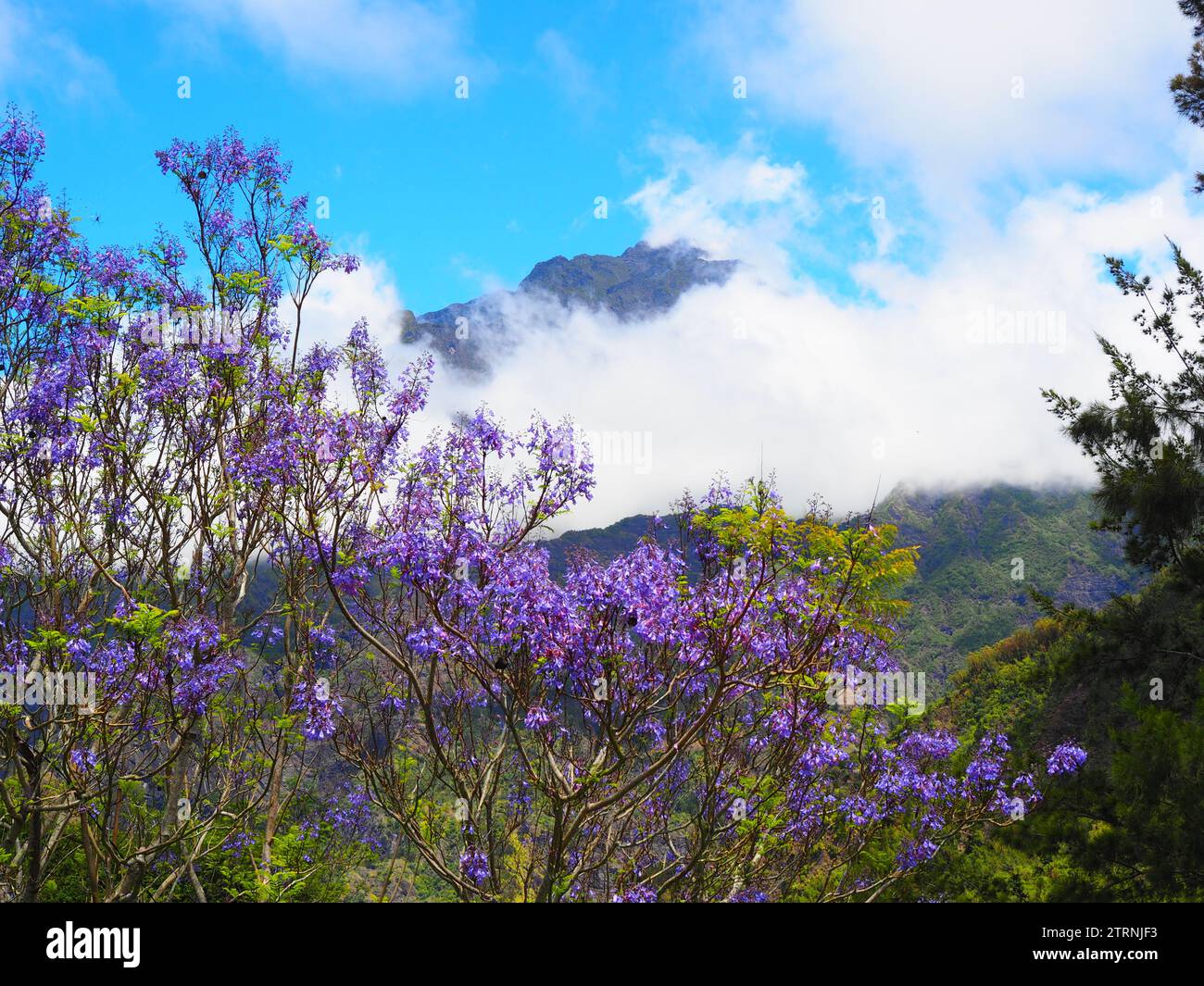 The best of Reunion Island - La Réunion, Mascarene Islands, Indian ...
