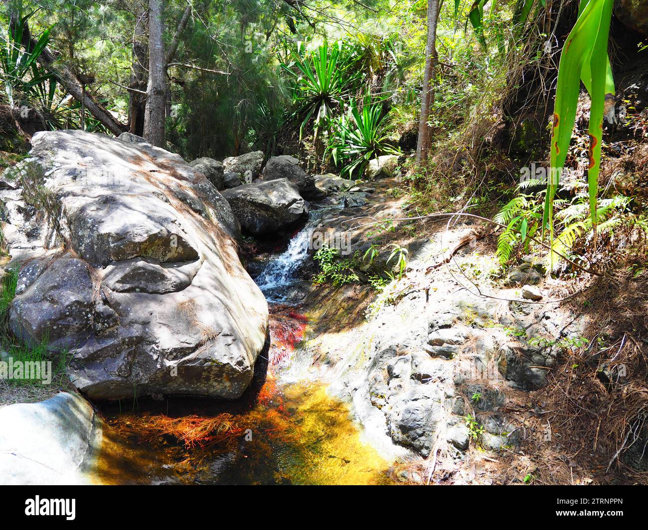 The best of Reunion Island - La Réunion, Mascarene Islands, Indian ...