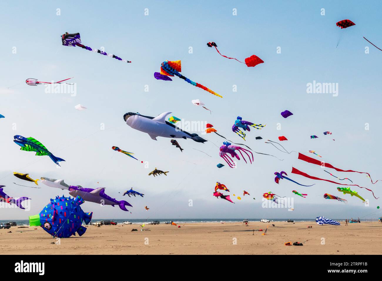 Kites of many shapes and colors fill the sky at the International Kite ...