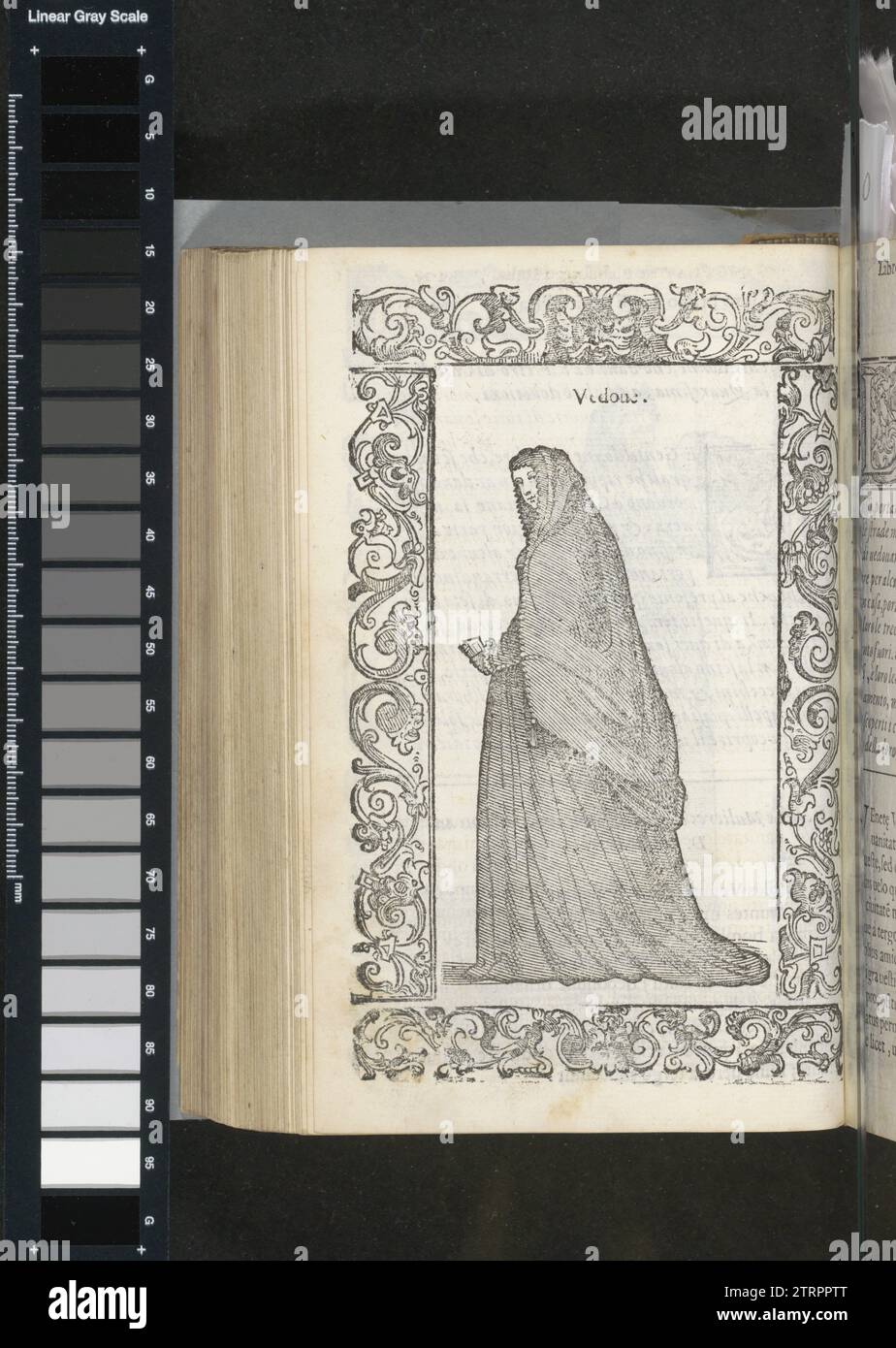 Widow from Venice, Christoph Krieger, After Cesare Vecellio, 1598 ...