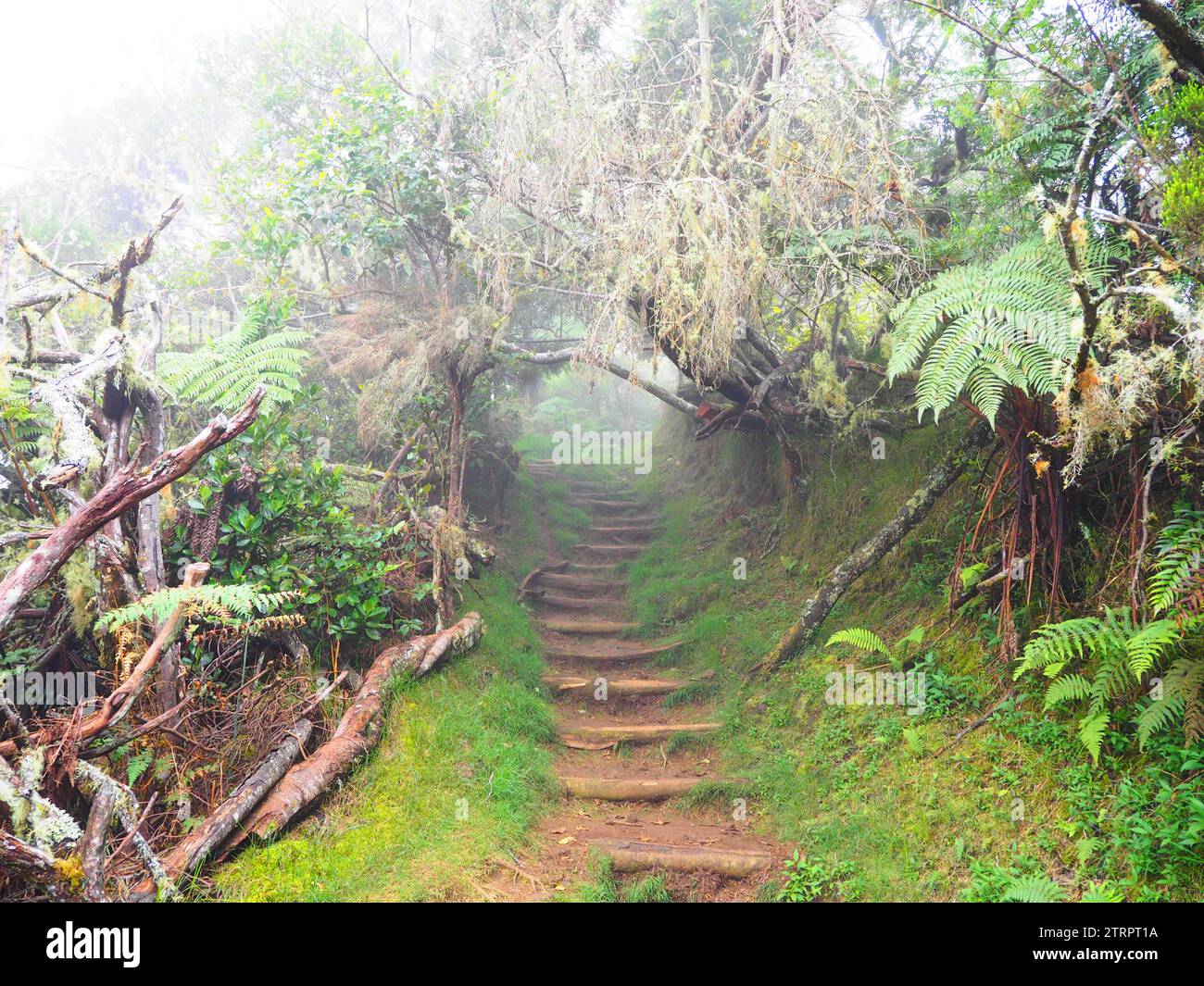 The best of Reunion Island - La Réunion, Mascarene Islands, Indian ...