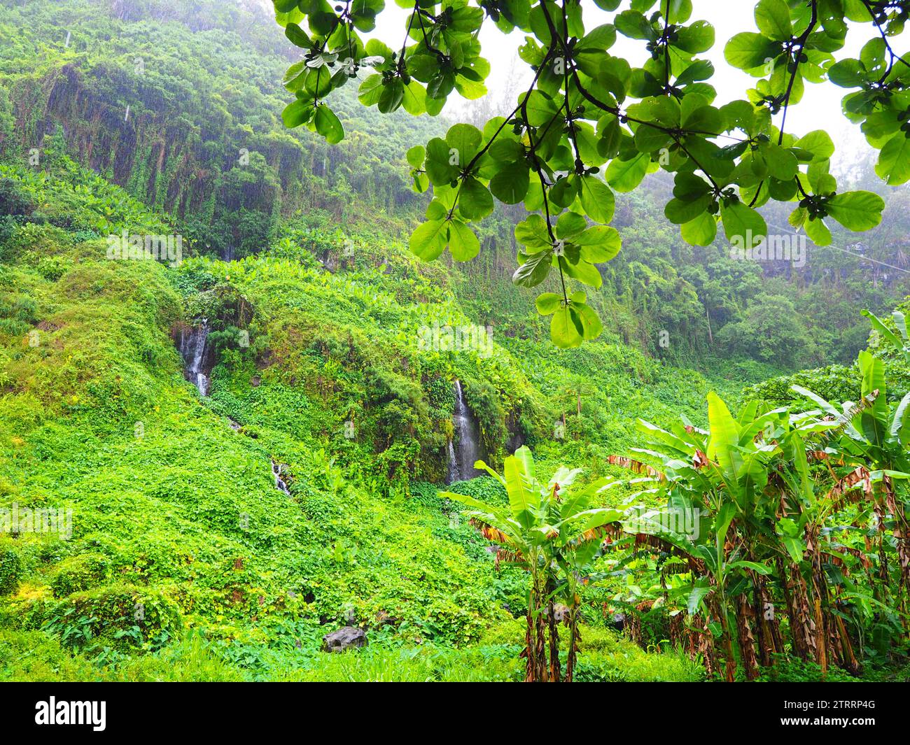 The best of Reunion Island - La Réunion, Mascarene Islands, Indian ...