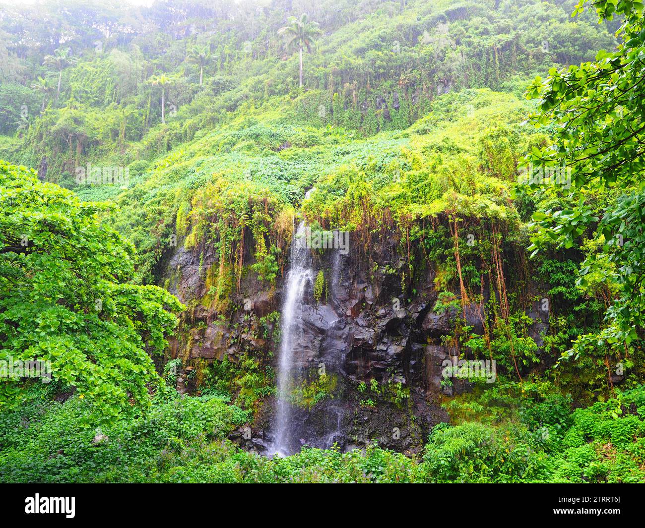 The best of Reunion Island - La Réunion, Mascarene Islands, Indian ...