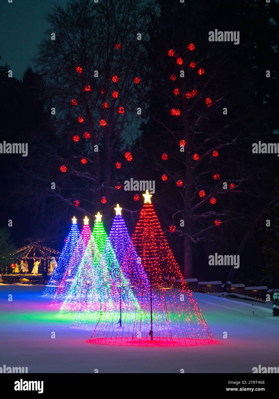 Beautiful Christmas lights in the snow Stock Photo - Alamy
