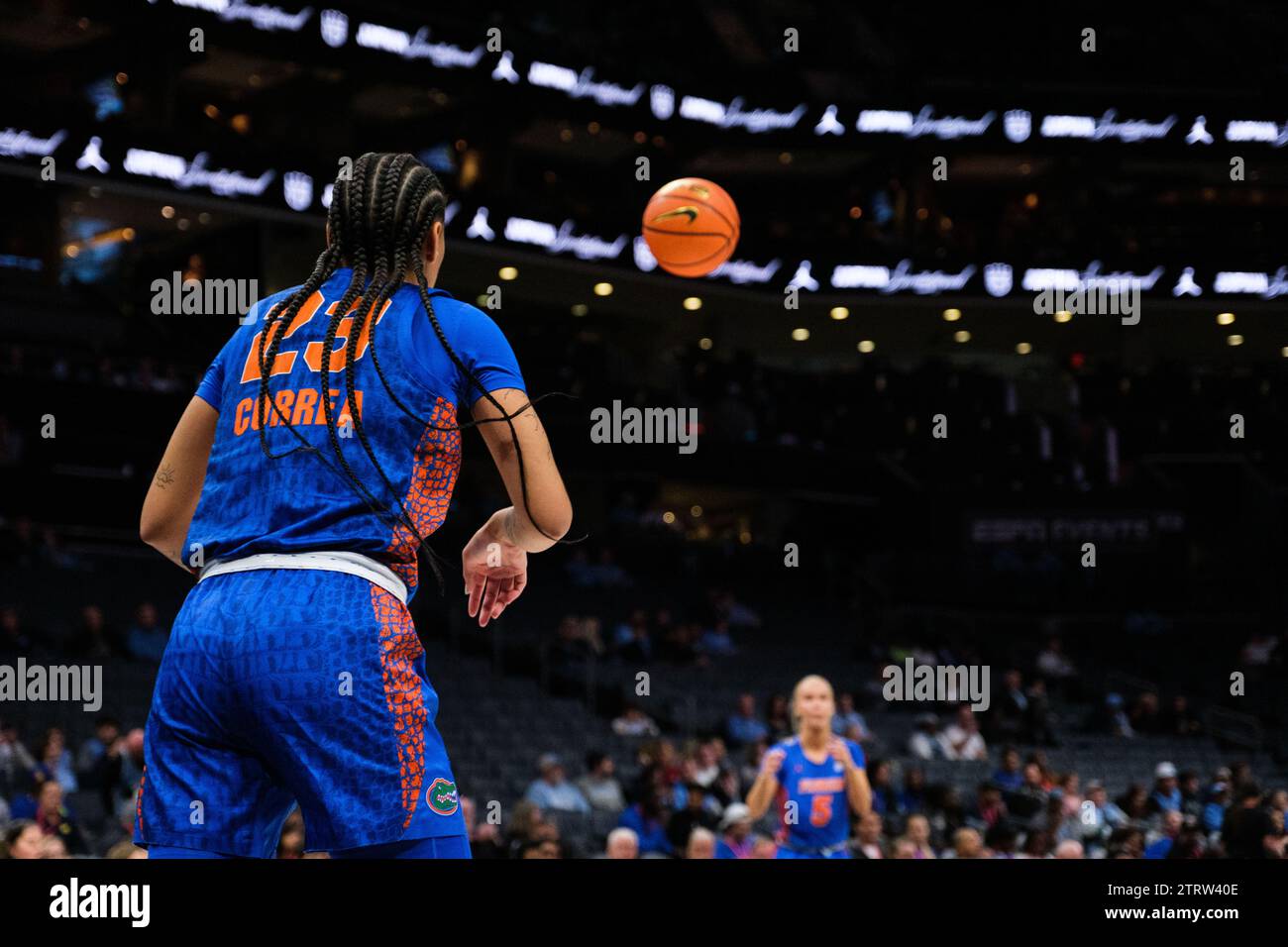 Dut image hi-res stock photography and images - Alamy