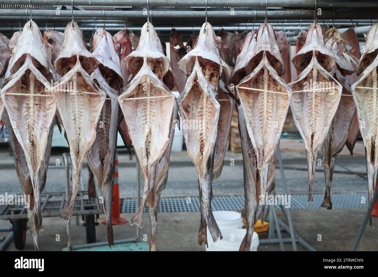 21st Dec, 2023. Cod season opens Dried cod are offered during an ...