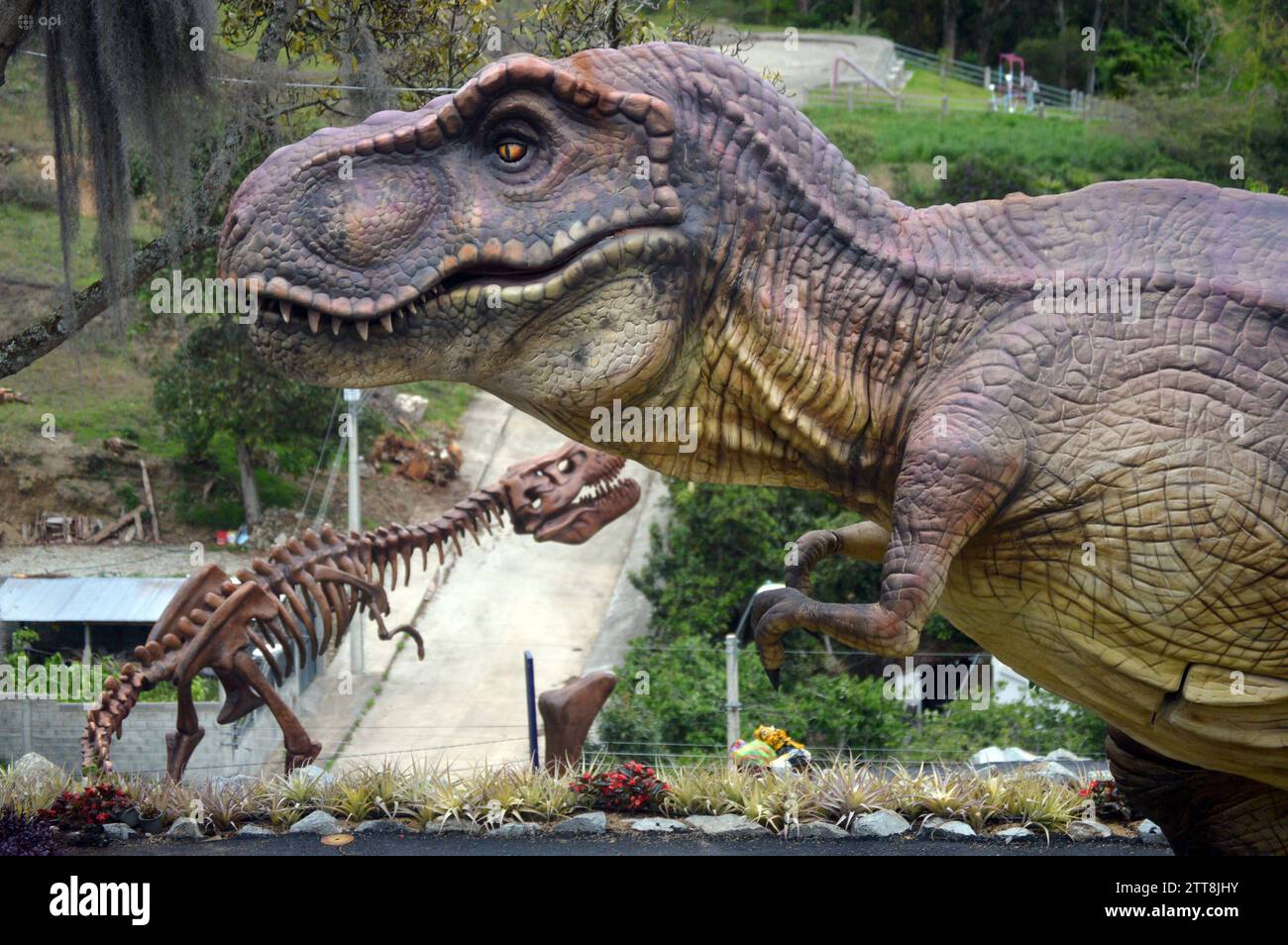 PAUTE-PARQUE JURASICO Cuenca,Ecuador 20 de diciembre de 2023 Paute ...