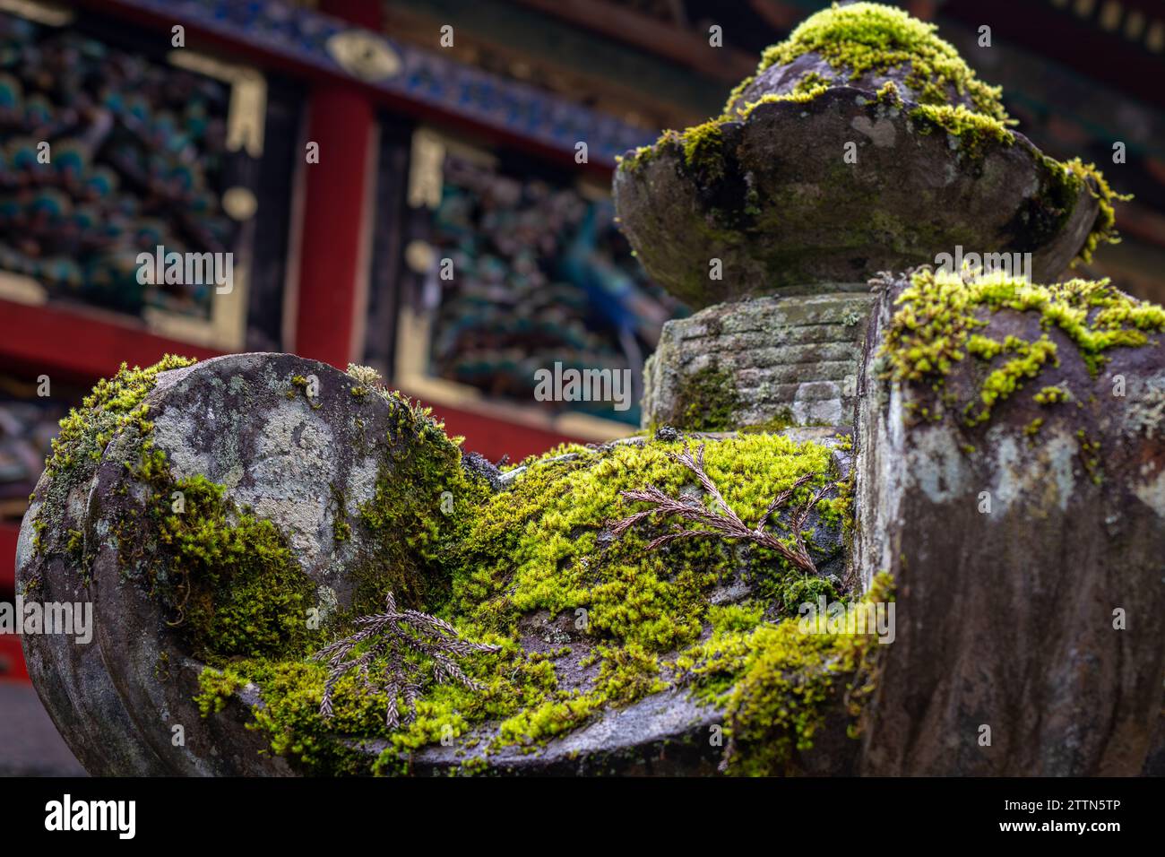Mossy lantern hi-res stock photography and images - Alamy
