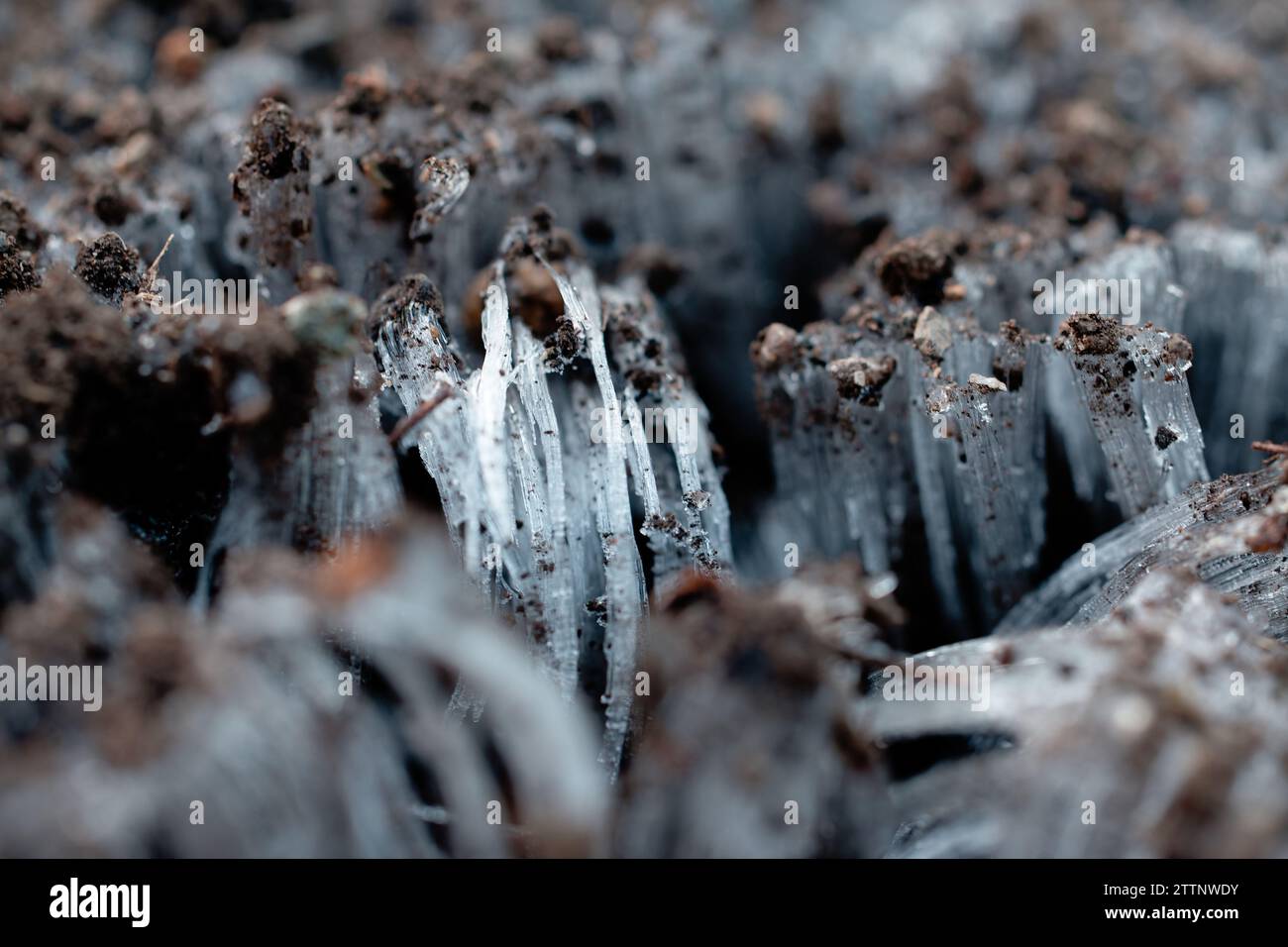 Needle ice hi-res stock photography and images - Alamy