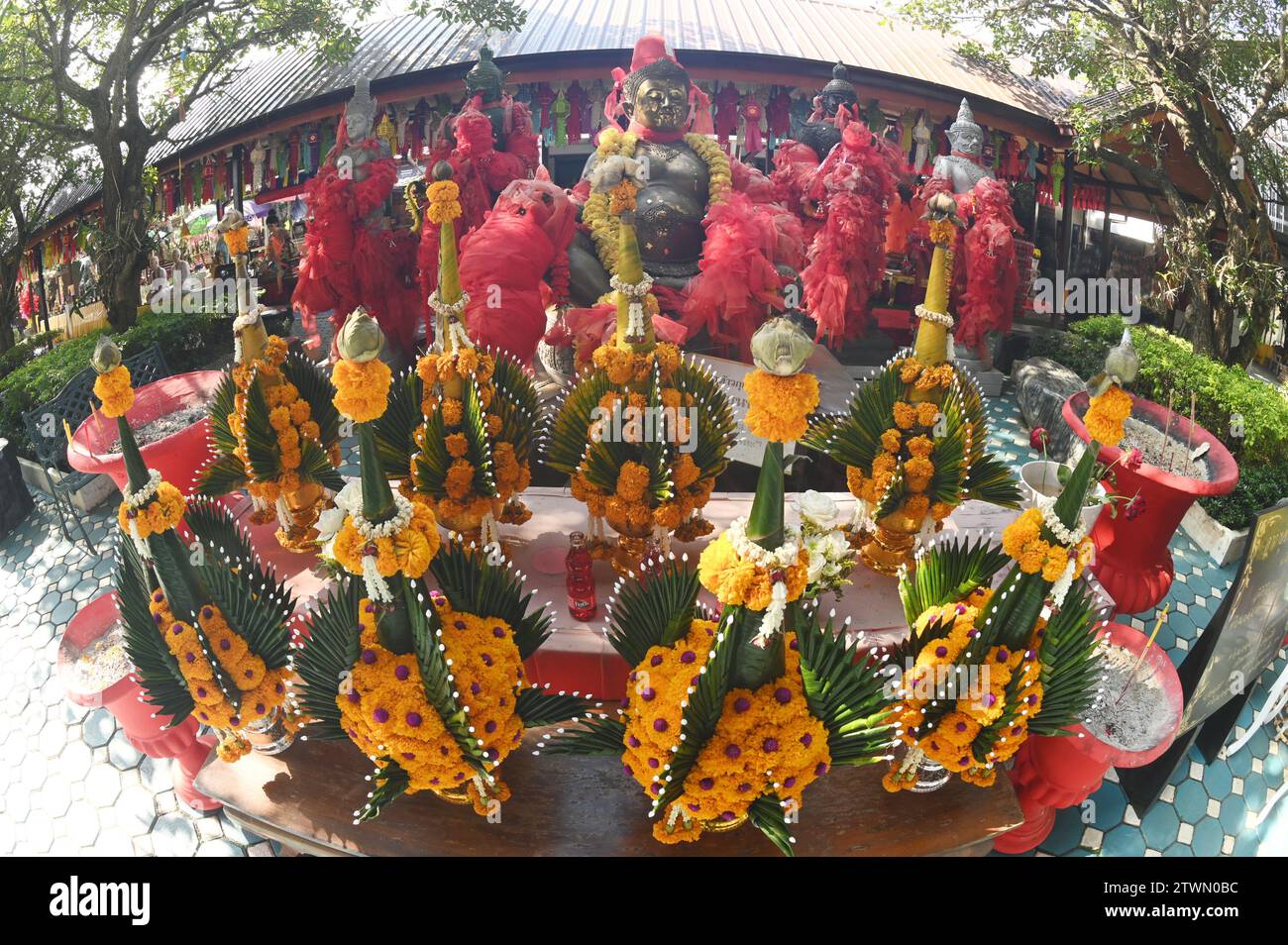 Many rice offering set up for worship Phra Sangkhachai or Fat happy ...