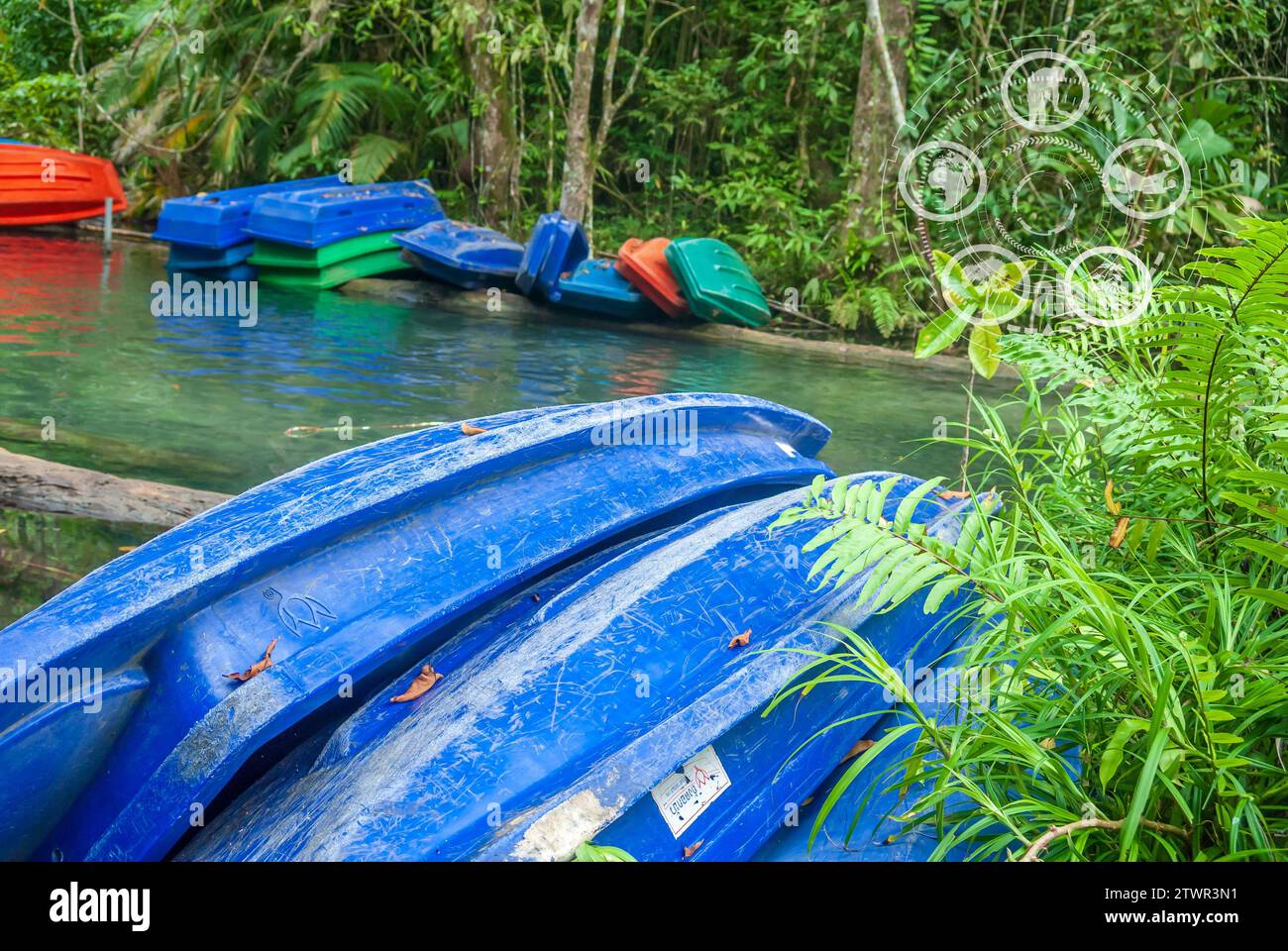 Eco tourism, Sustainable tourism, Green tourism and Ecosystem and ...