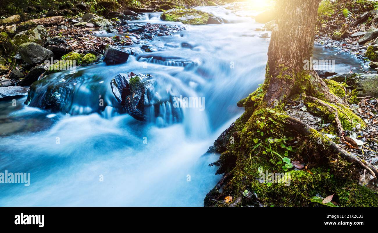 Beautiful waterfall in green forest hi-res stock photography and images ...