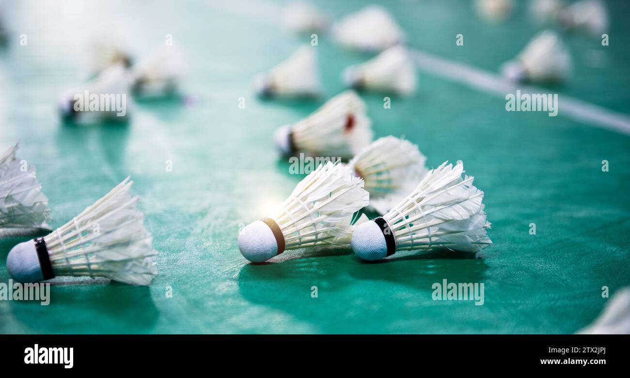 Large group of shuttlecocks on the bodminton court floor Stock Photo ...
