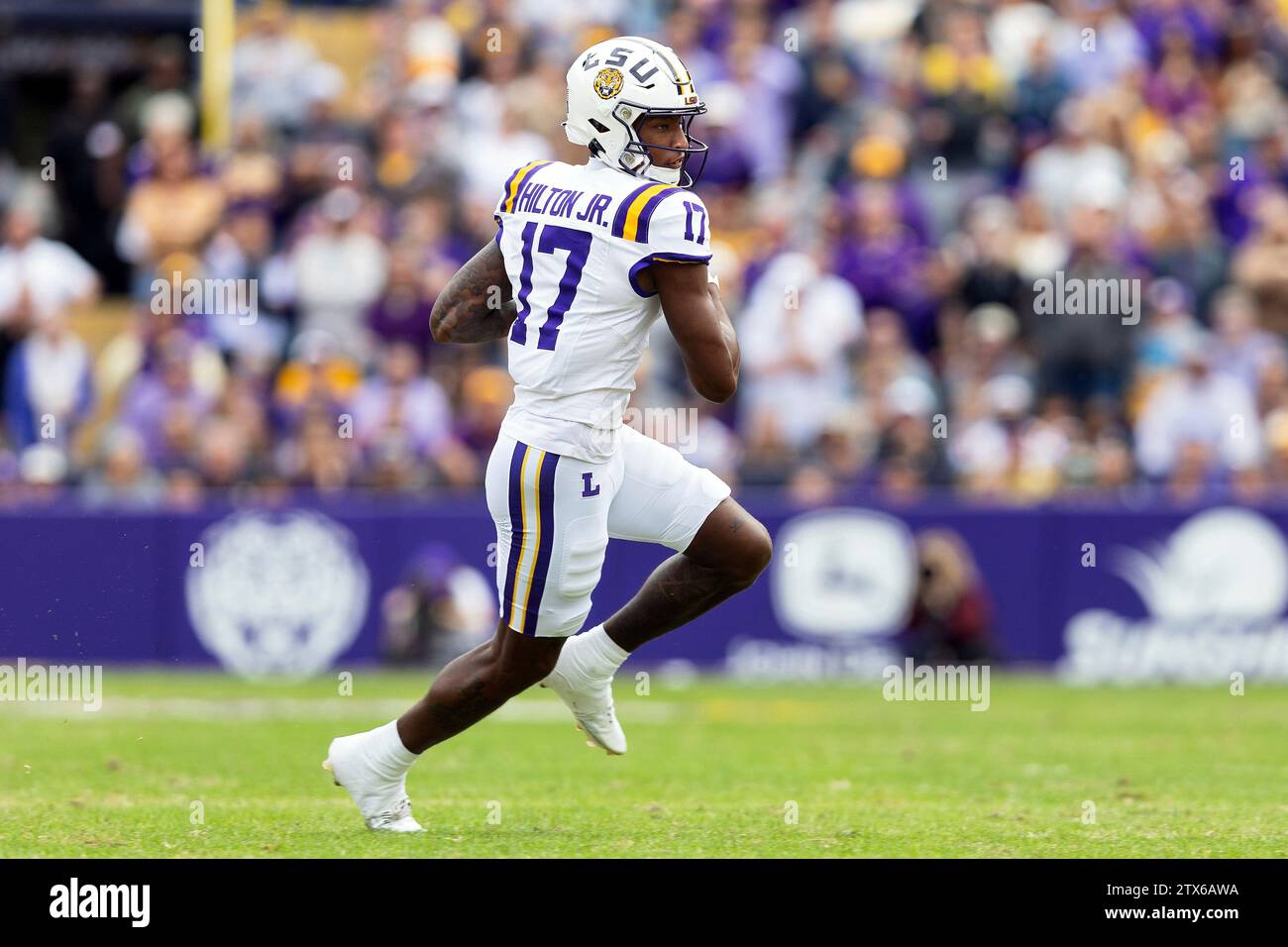 BATON ROUGE, LA - NOVEMBER 25: LSU Tigers wide receiver Chris Hilton Jr ...