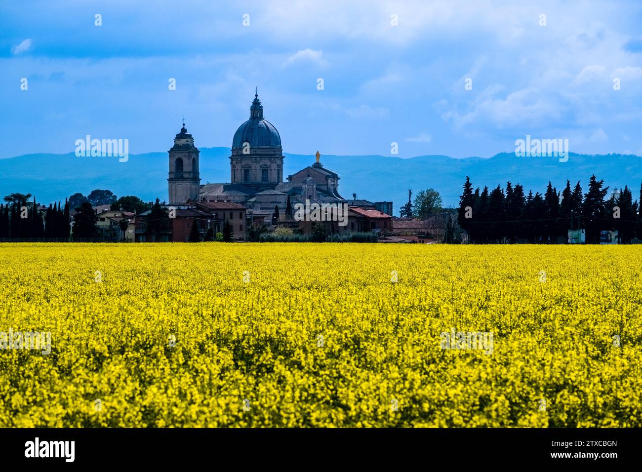 The church Basilica di Santa Maria degli Angeli, seen over a rapeseed ...