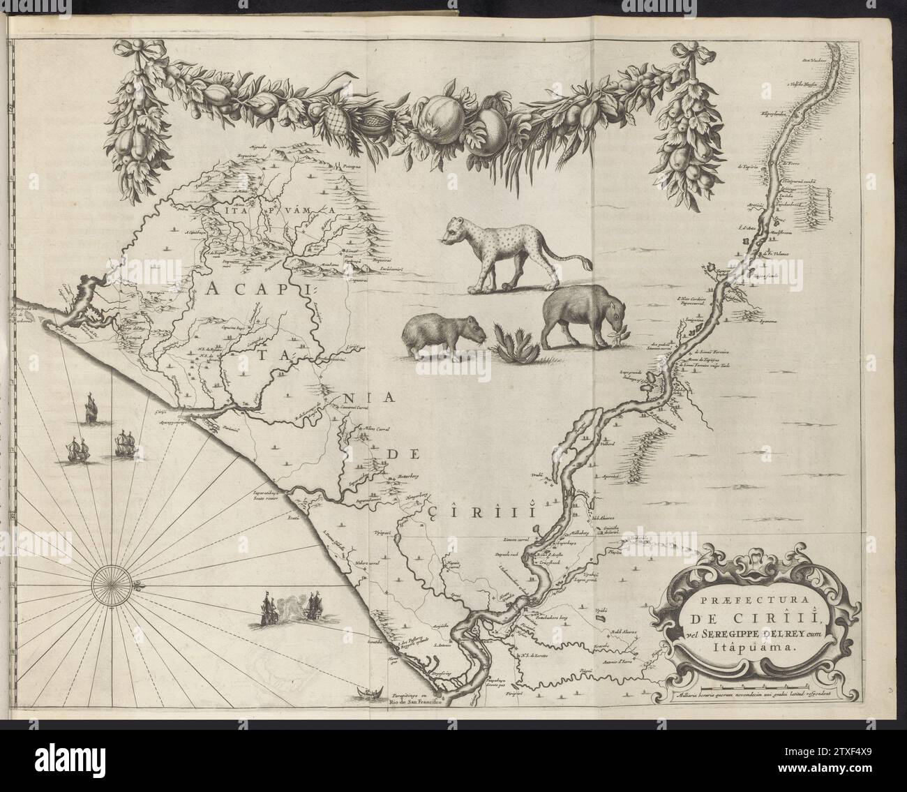 Map of the coast of Brazil, 1647, 1645 - 1647 Map of the coast of ...
