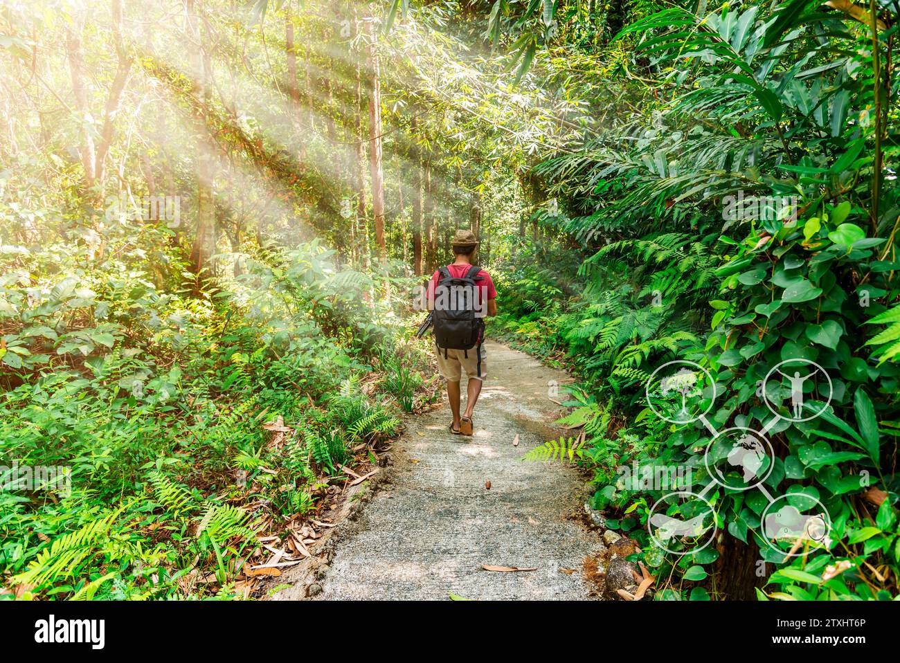 Green tourism, Sustainable tourism, Eco tourism and Ecosystem and ...