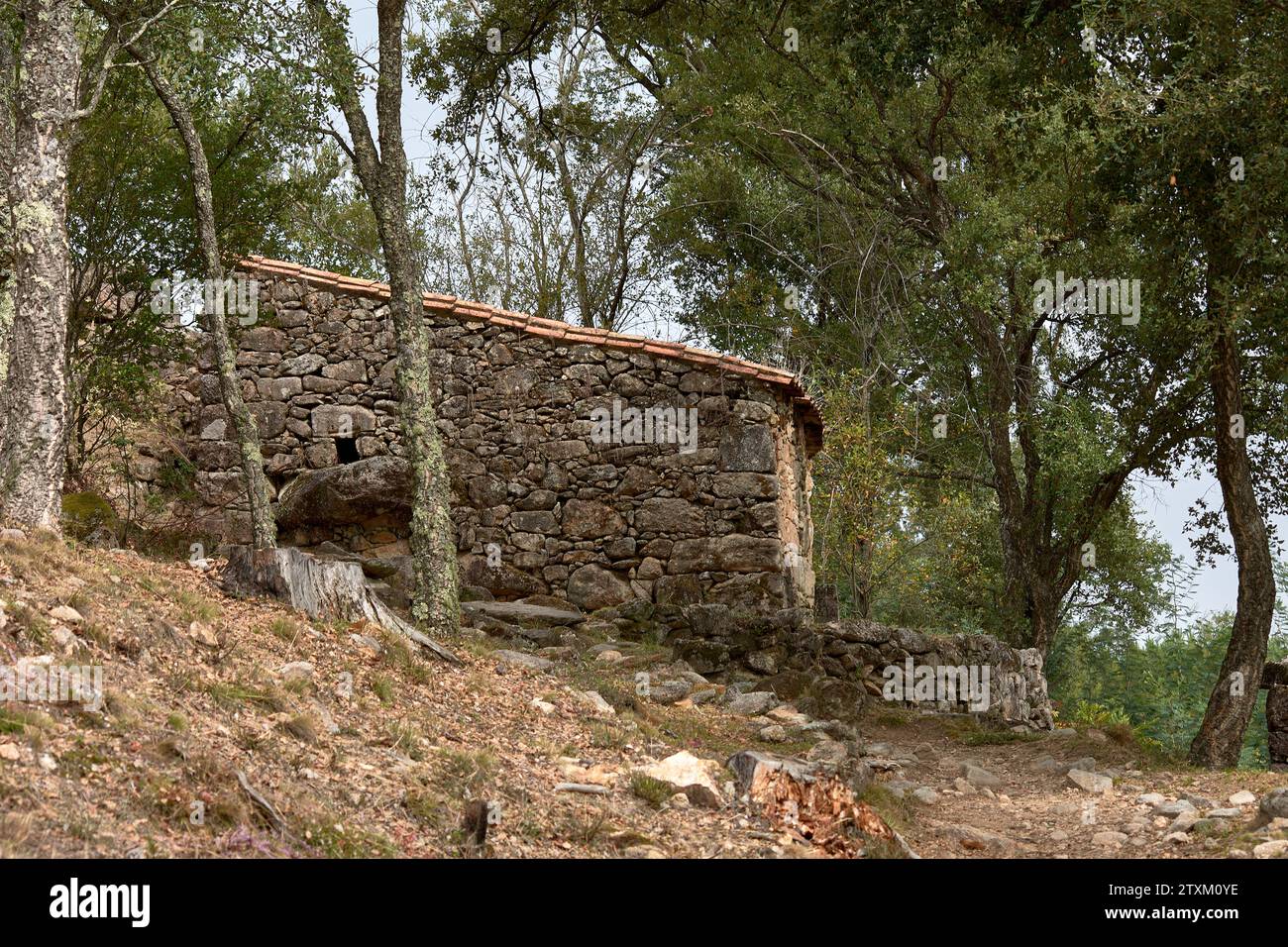 Folon and picon hi-res stock photography and images - Alamy