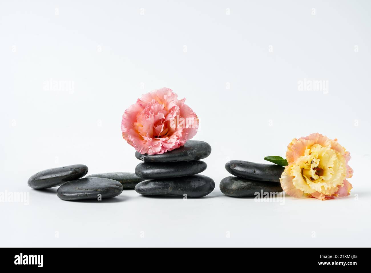 Spa stones and flowers on the white background Stock Photo - Alamy