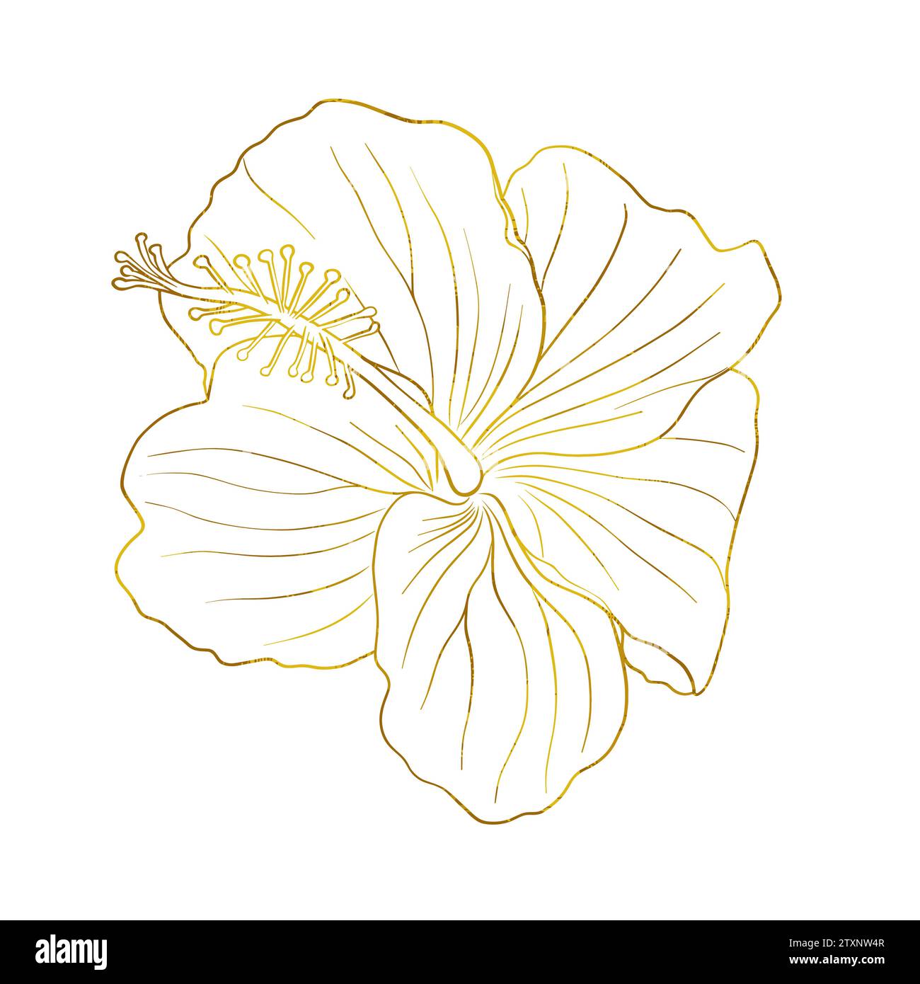 Gold foil tropical hibiscus flower. Chinese rose flower. Hand drawn ...