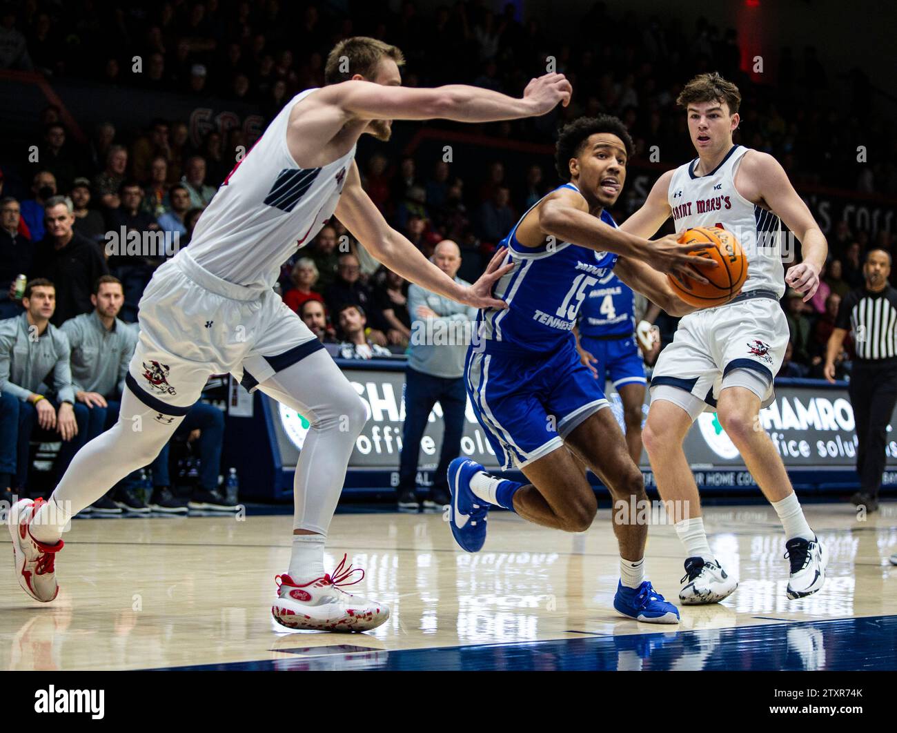 2023 0014 jpg hi-res stock photography and images - Alamy