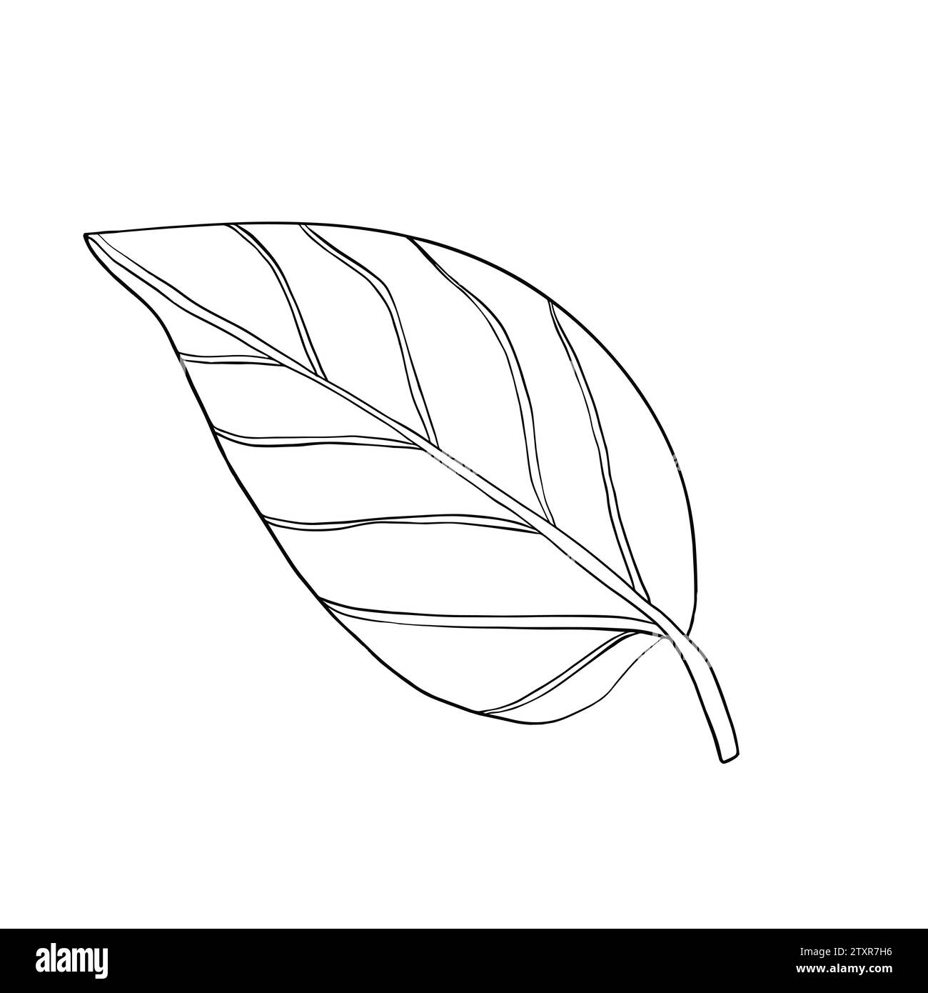 Line art leaves icon on isolated background Elements of design for ...