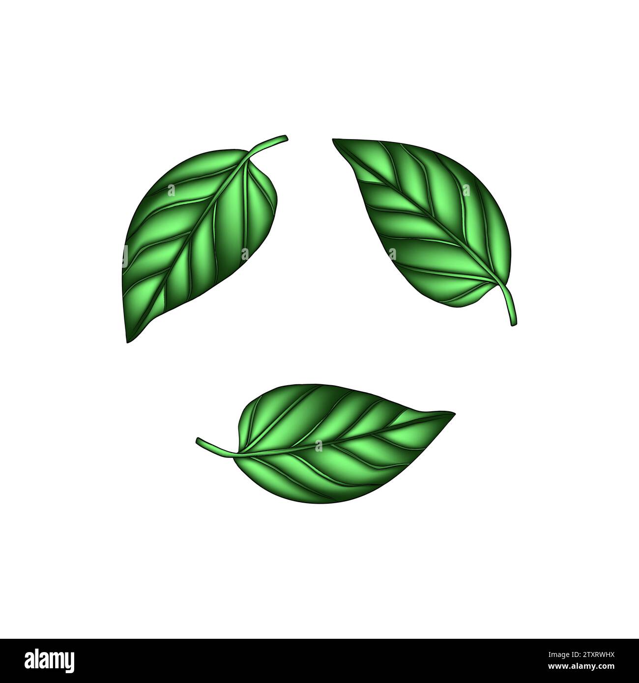 Green leaves eco icon on isolated background Elements of design for ...