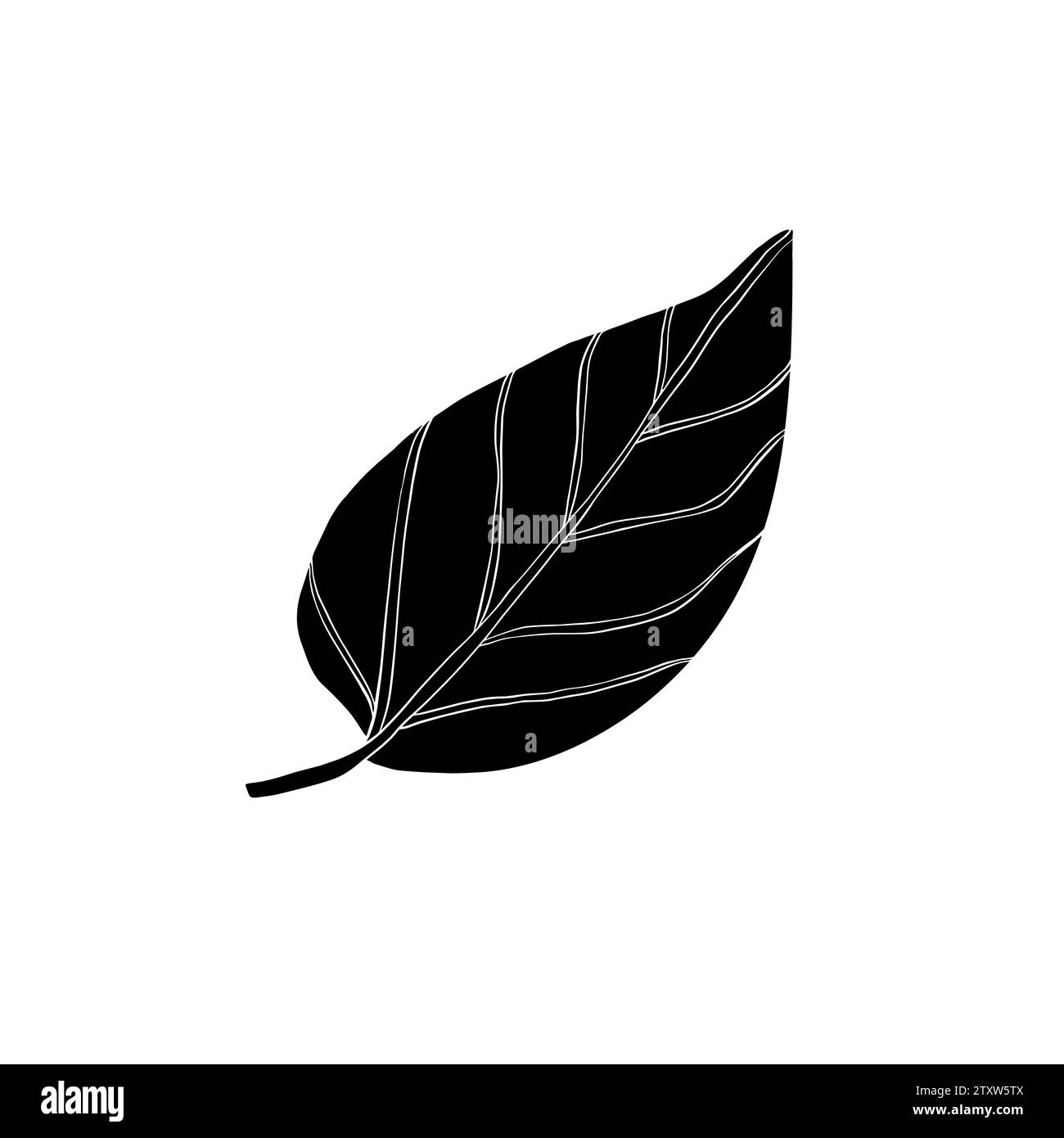 Silhouette leaves icon on isolated background Elements of design for ...