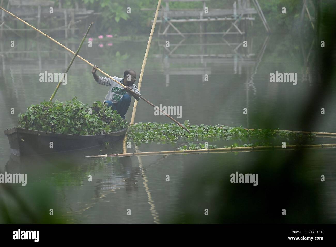 A worker collects plankton on a foggy morning at the MBB College lake ...