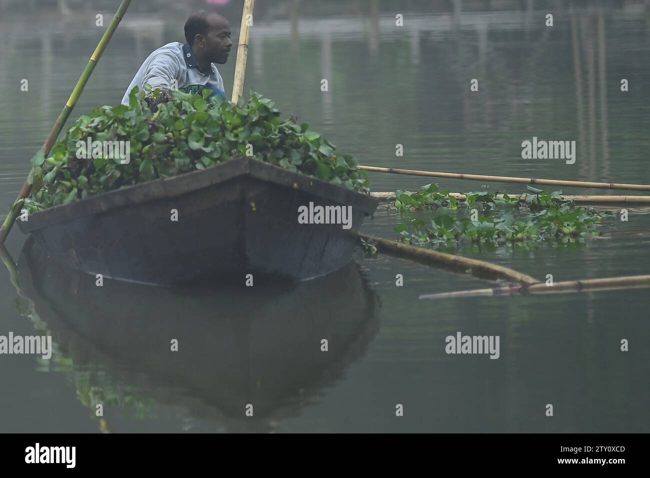 Collecting plankton hi-res stock photography and images - Alamy