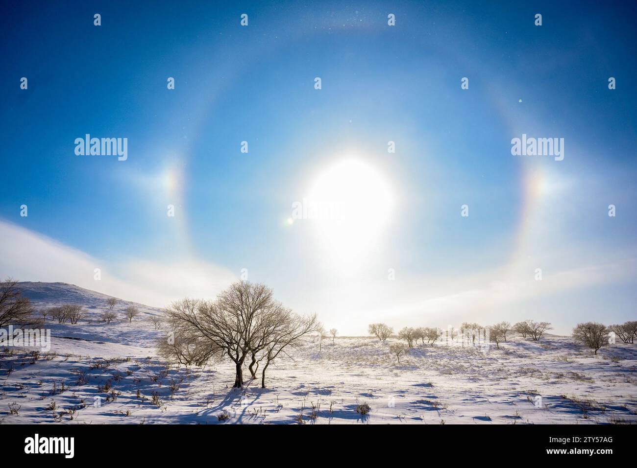 Xilingol. 20th Dec, 2023. This photo taken on Dec. 20, 2023 shows a ...