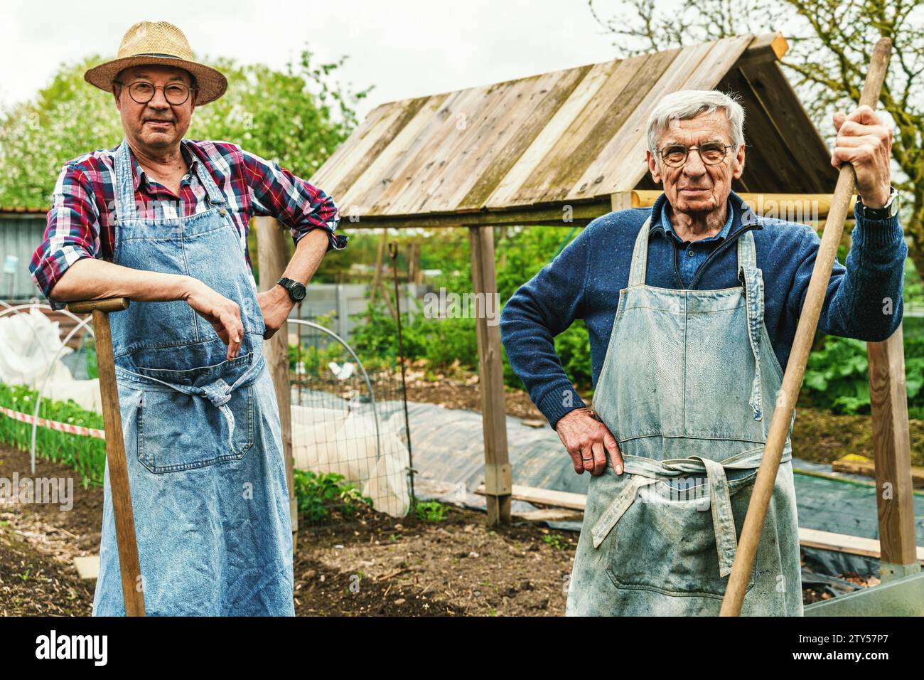 Two senior male friends with gardening tools, smiling and enjoying an active day in the ...