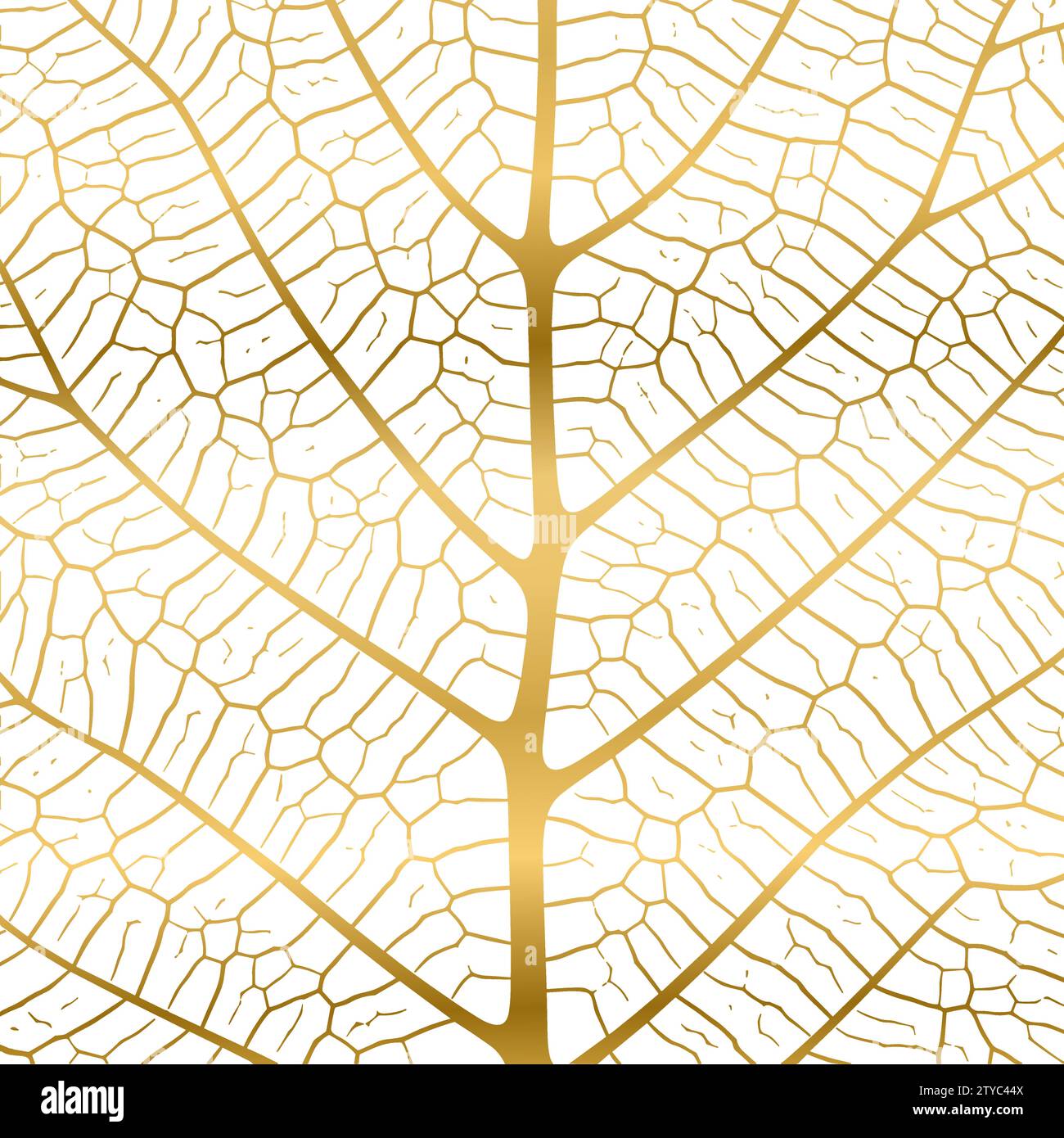 Grow cells Stock Vector Images - Alamy