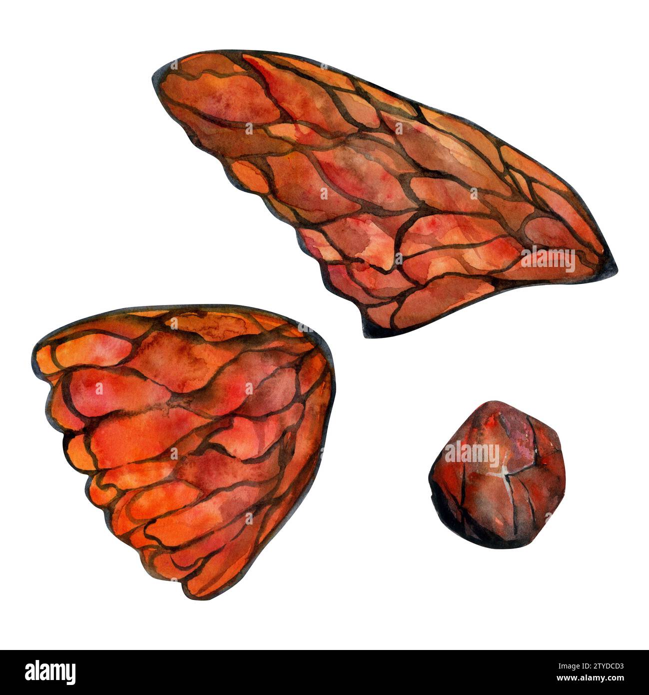 Hand drawn watercolor illustration butterfly fairy wings gem crystal ...