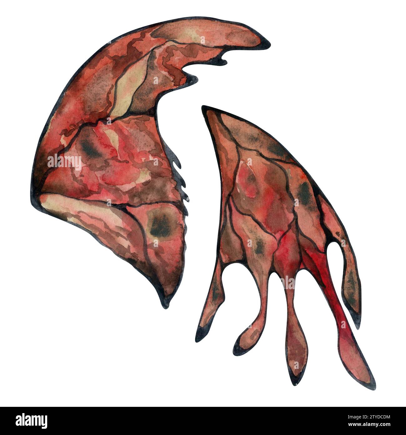 Hand drawn watercolor illustration butterfly fairy wings gem crystal ...